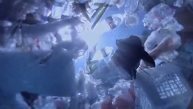 Plastic Paradise: The Great Pacific Garbage Patch Trailer | stokedclips.com